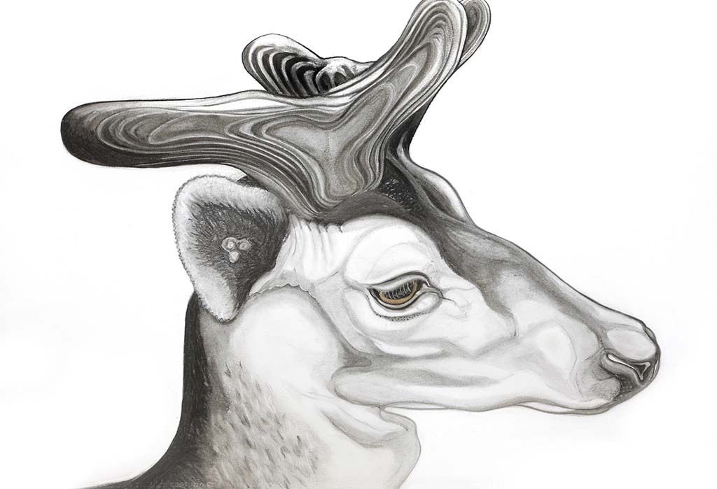 Kunstenaar v.d maand Rosemin Hendriks - Wilma Takes a Break