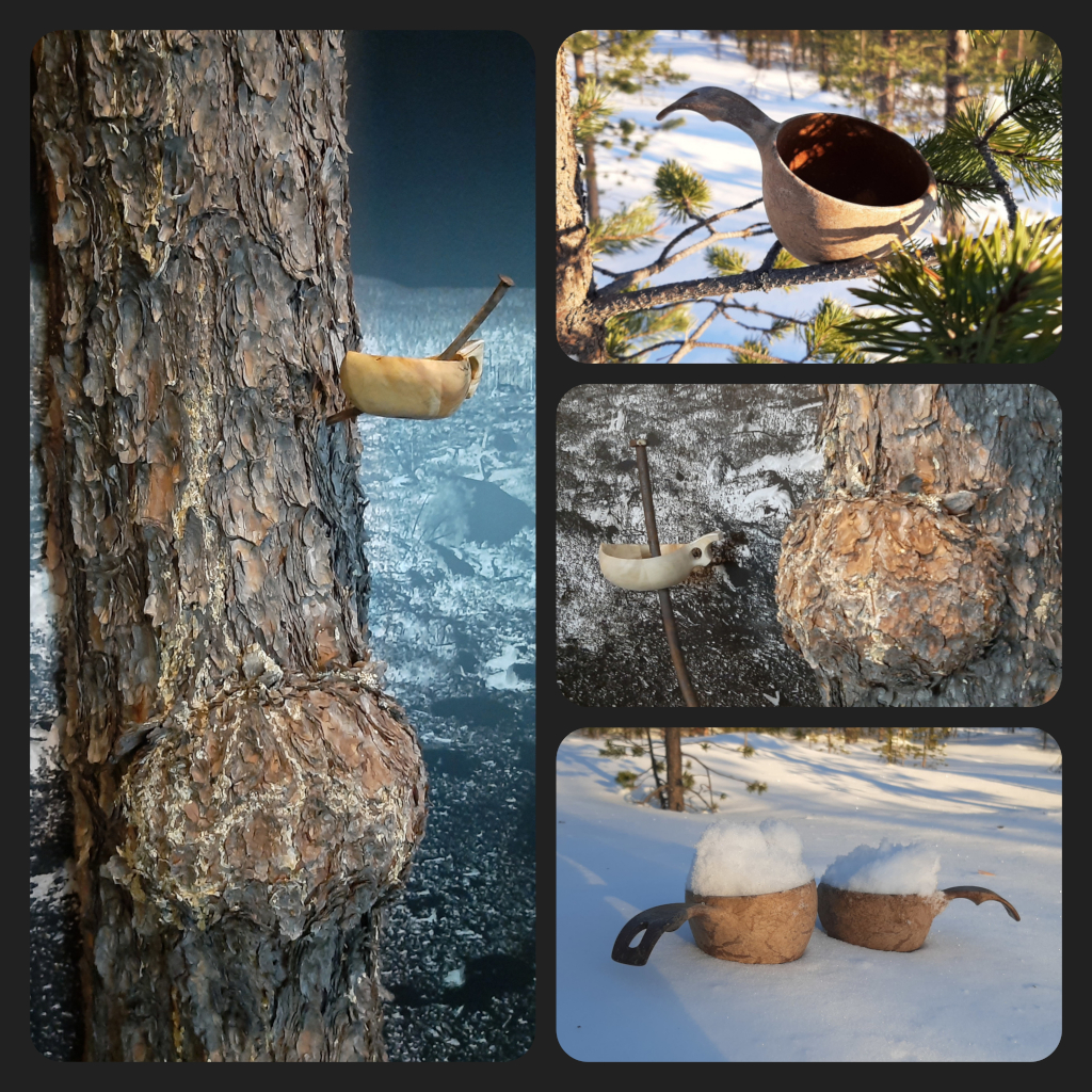 Sami Museum SIIDA in Inari Finland - Wilma Takes a Break